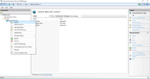 How to host a website in local IIS in windows 10 | FreeCode Spot