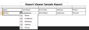 Adding Reportviewer on Windows Form Application | FreeCode Spot