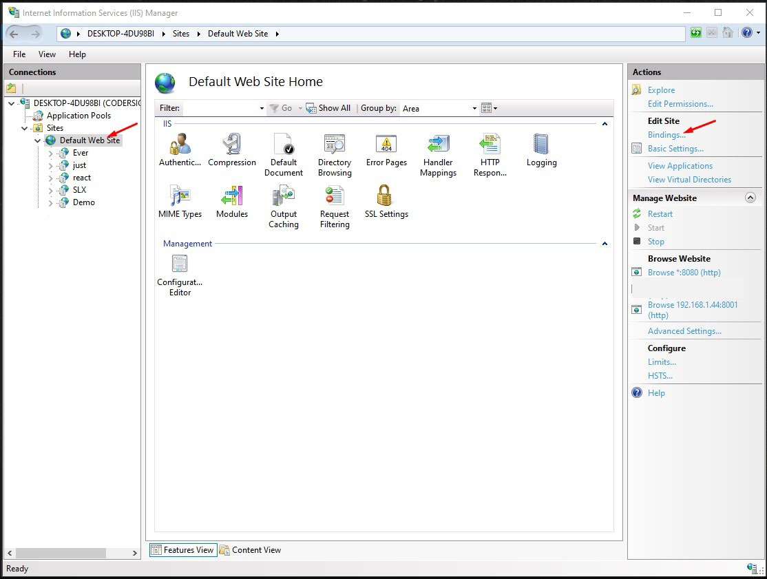 Deploy ASP.NET Core WebApp to a Local Network using IIS