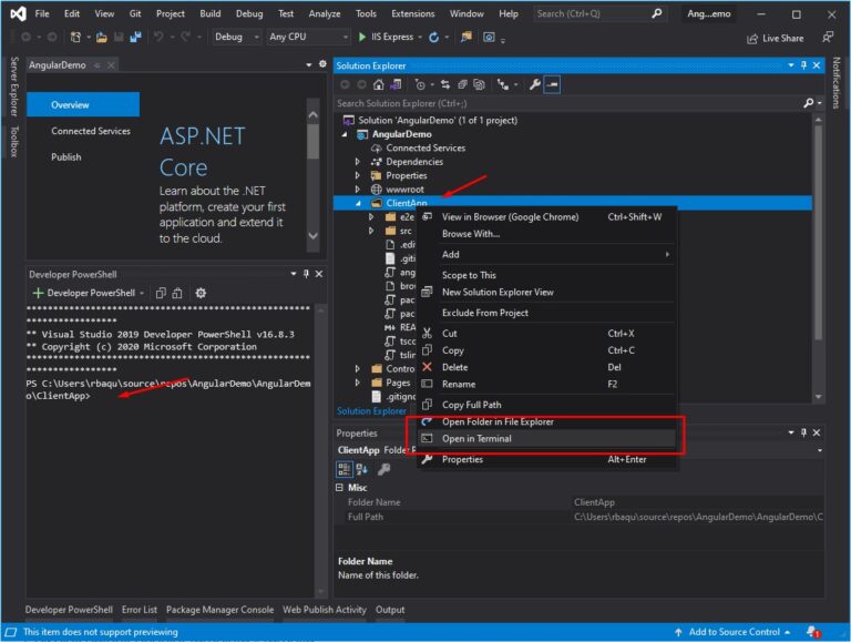 Angular 11 Application With Asp Net Core Web Api Freecode Spot