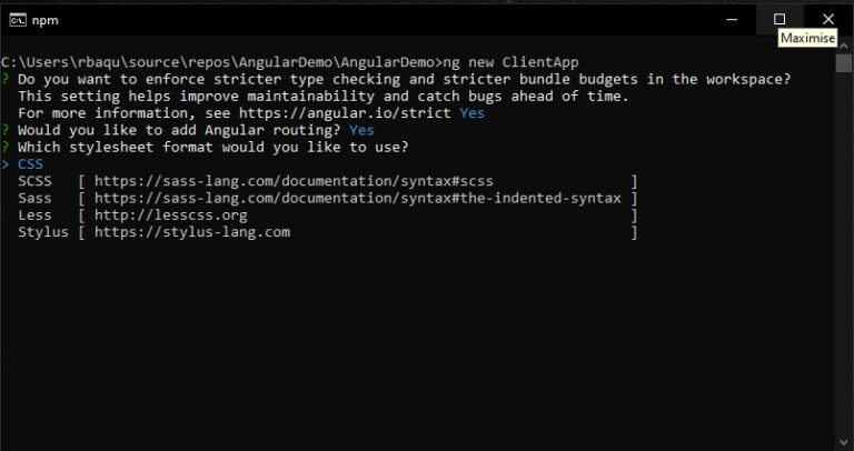 Angular 11 Application With Asp Net Core Web Api Freecode Spot