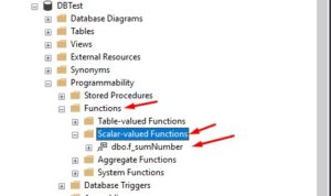 Executing SQL Scalar Functions