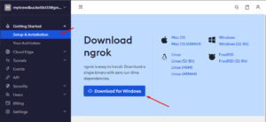 Install Ngrok on Windows