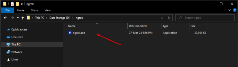 Install Ngrok on Windows
