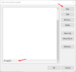 Install Ngrok on Windows
